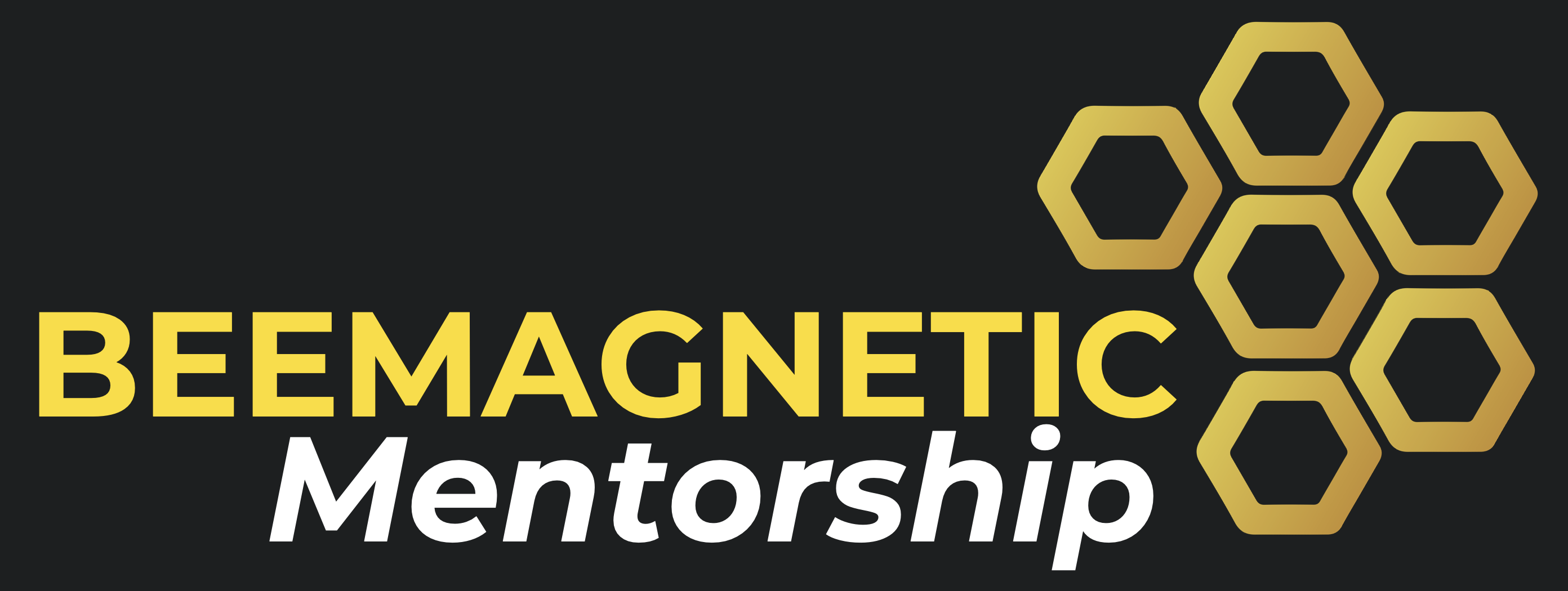 optinbeemagneticmentorship - BeeMagnetic