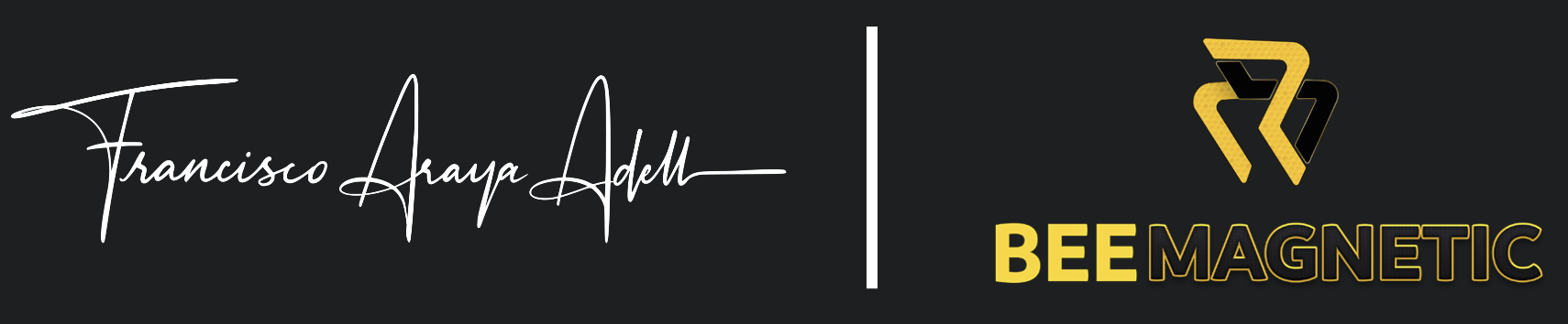 Francisco Araya Adell - BeeMagnetic